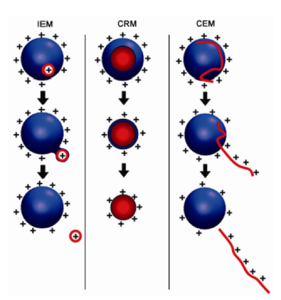 Comprehensive Guide to Electrospray Ionization (ESI) in Modern Mass ...